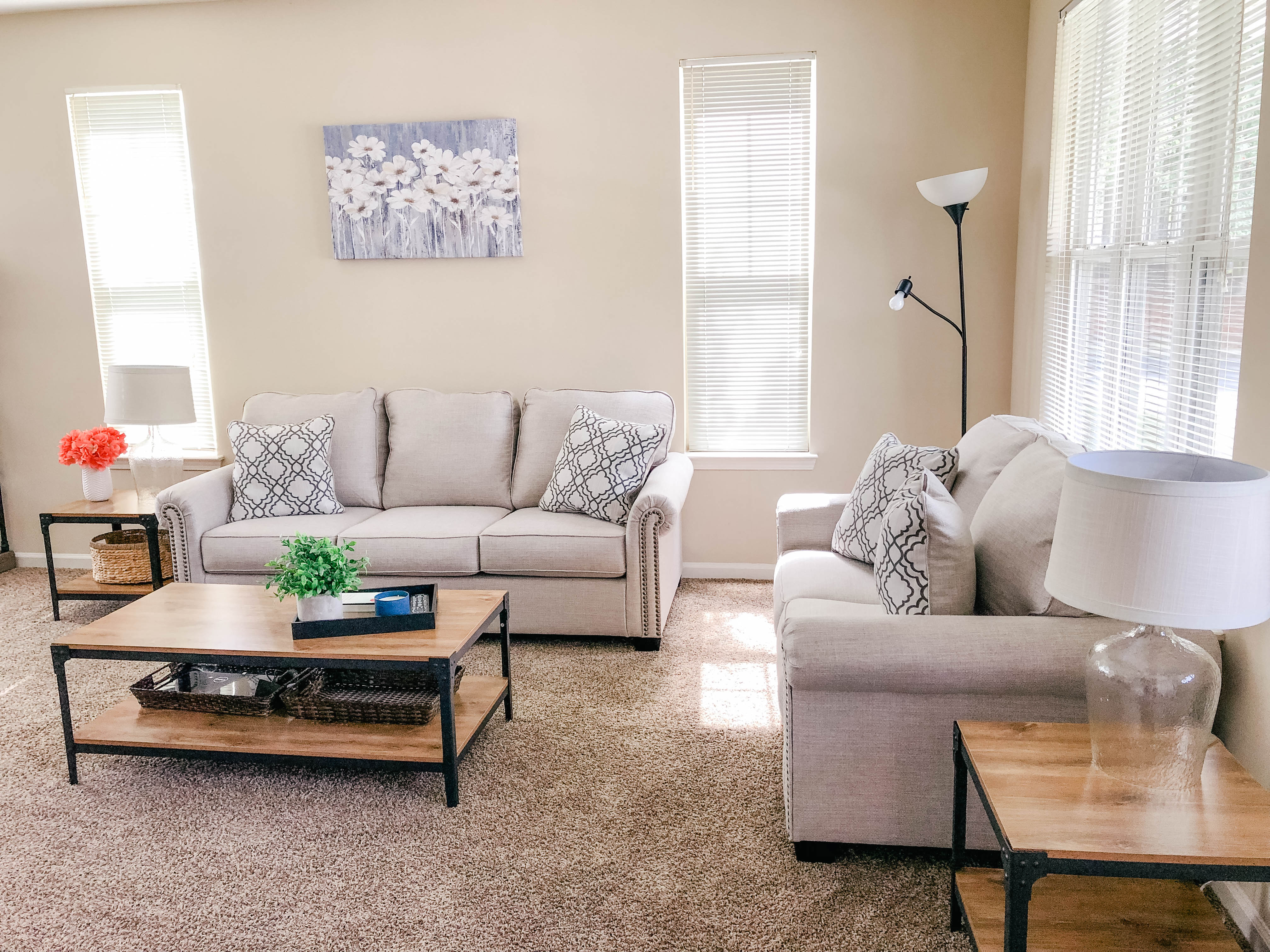 Living Room Update – Our New Couch & More - Blogs by Aria