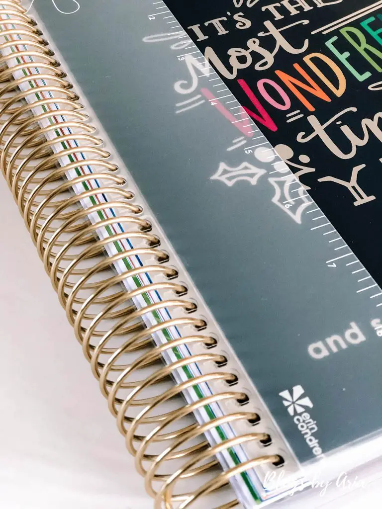 Erin Condren 2021 Life Planners – Vertical Life Planner, Softbound Life ...